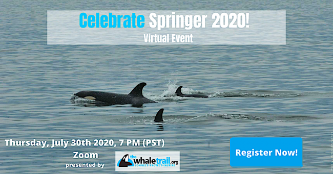 Get to know more about Springer the Orca in a virtual meeting July 30 ...